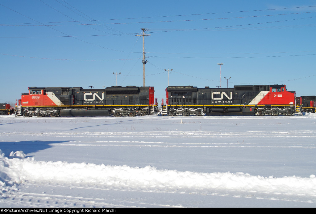 CN 8839